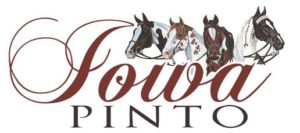 Iowa Pinto